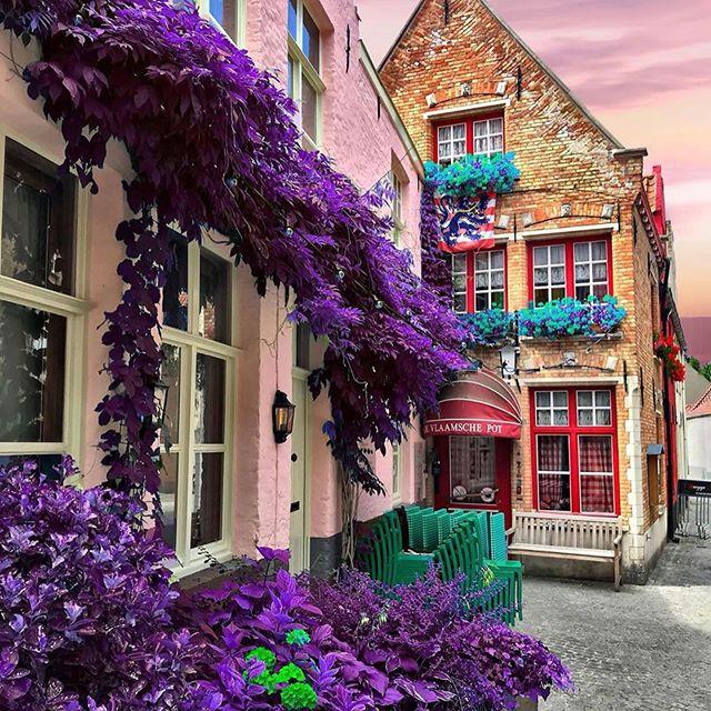 Honeymoon Best Places To Go 2935137 Weddbook Honeymoon Best Places To Go 2935137 Weddbook